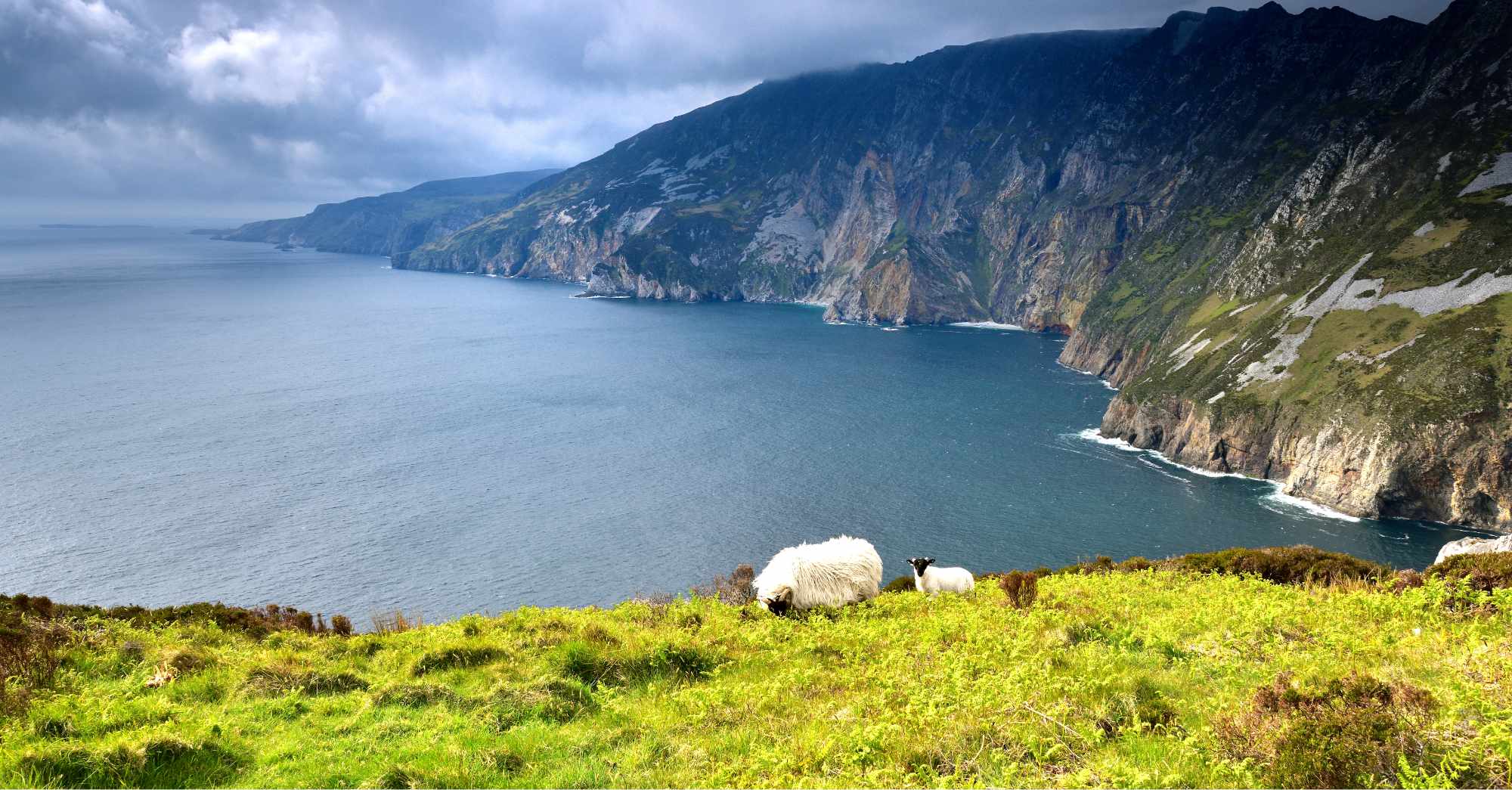 Irlandia: Kompleksowy Przewodnik Pełen Kluczowych Informacji